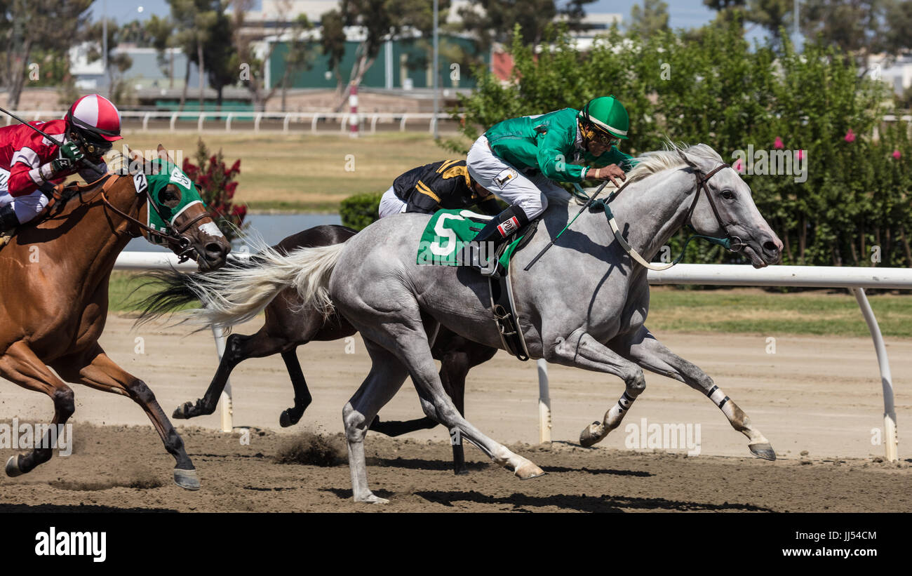 Horse racing action at the Cal Expo in Sacramento, California Stock ...
