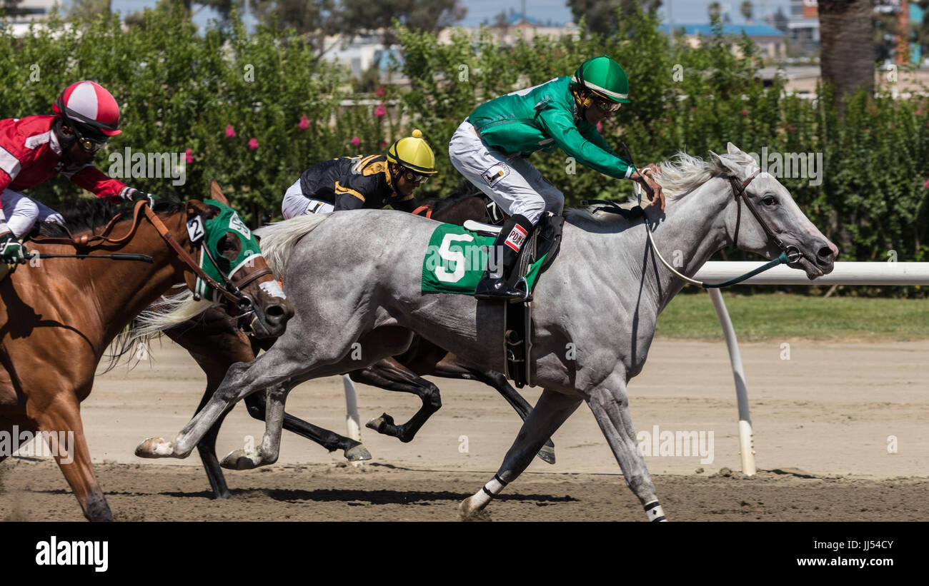 Horse racing action at the Cal Expo in Sacramento, California Stock ...