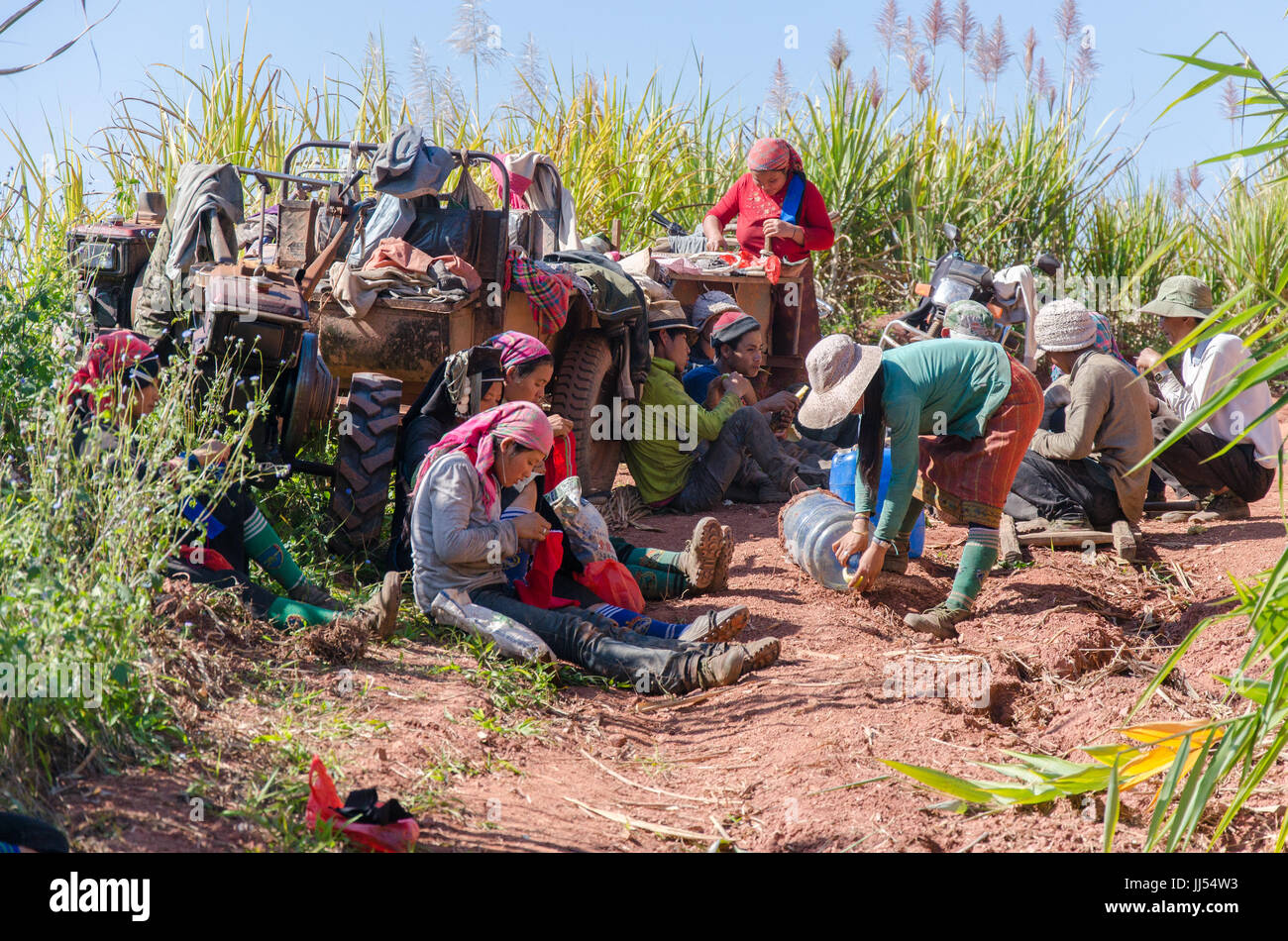 Laos phongsali trekking hi-res stock photography and images - Alamy
