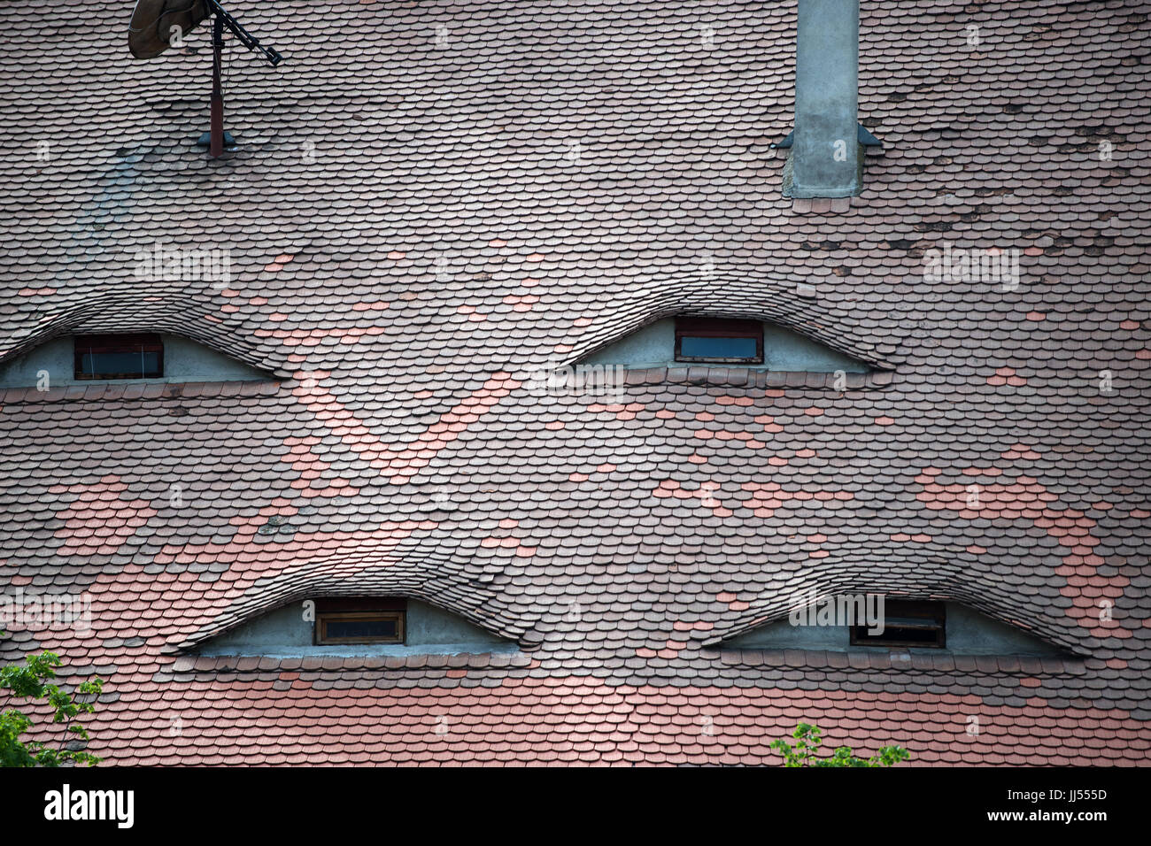 Eye-shaped windows on the tiled roofs of Sibiu, Transylvania, Romania ...