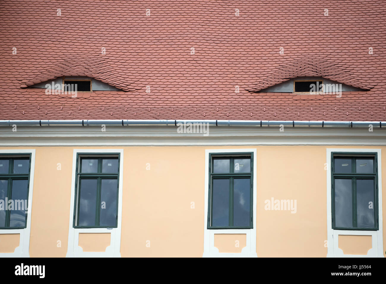 Eye-shaped windows on the tiled roofs of Sibiu, Transylvania, Romania ...