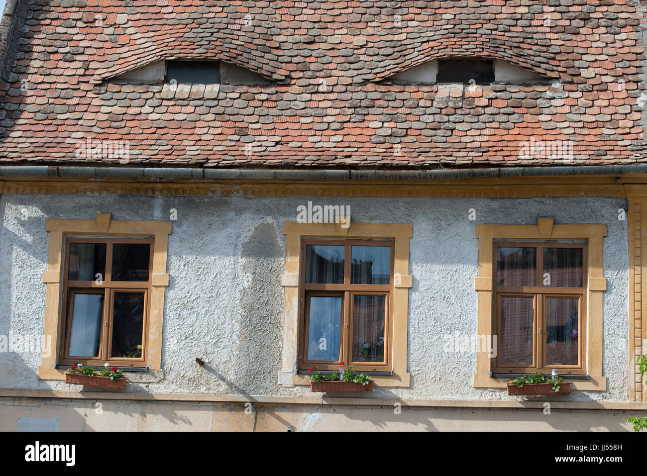 Eyelid Window High Resolution Stock Photography and Images - Alamy