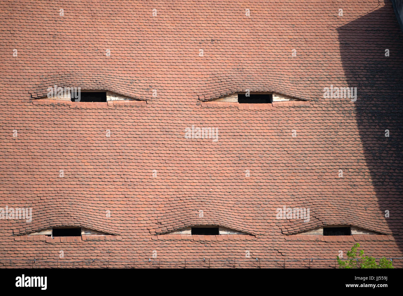 Eye-shaped windows on the tiled roofs of Sibiu, Transylvania, Romania ...