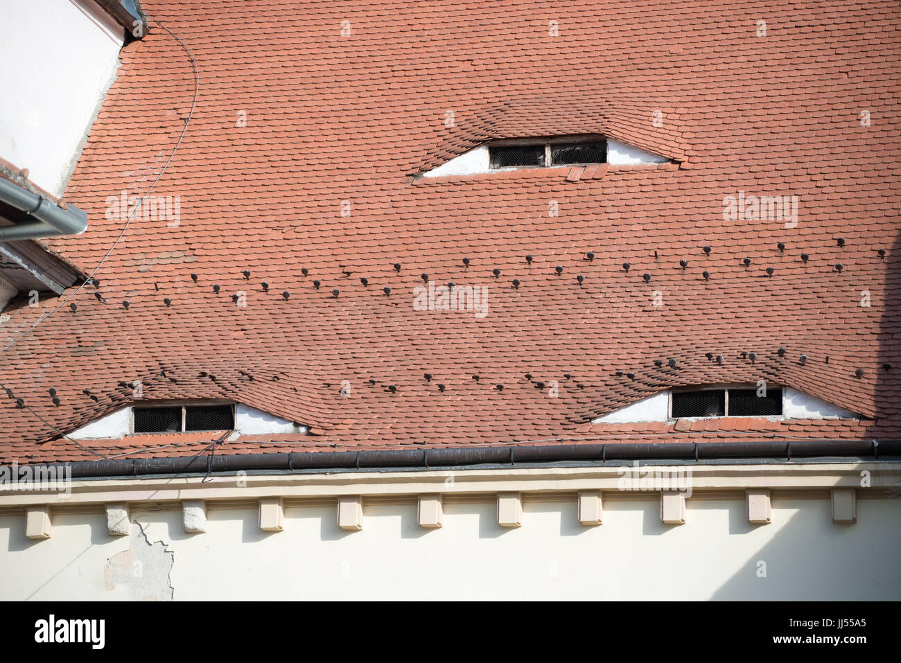 Eye-shaped windows on the tiled roofs of Sibiu, Transylvania, Romania ...