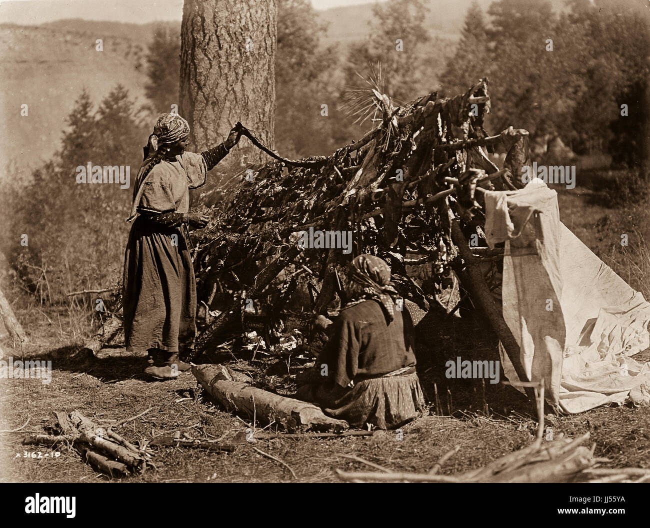 The portraits and landscapes of Edward S. Curtis 1868 - 1952 focus on ...