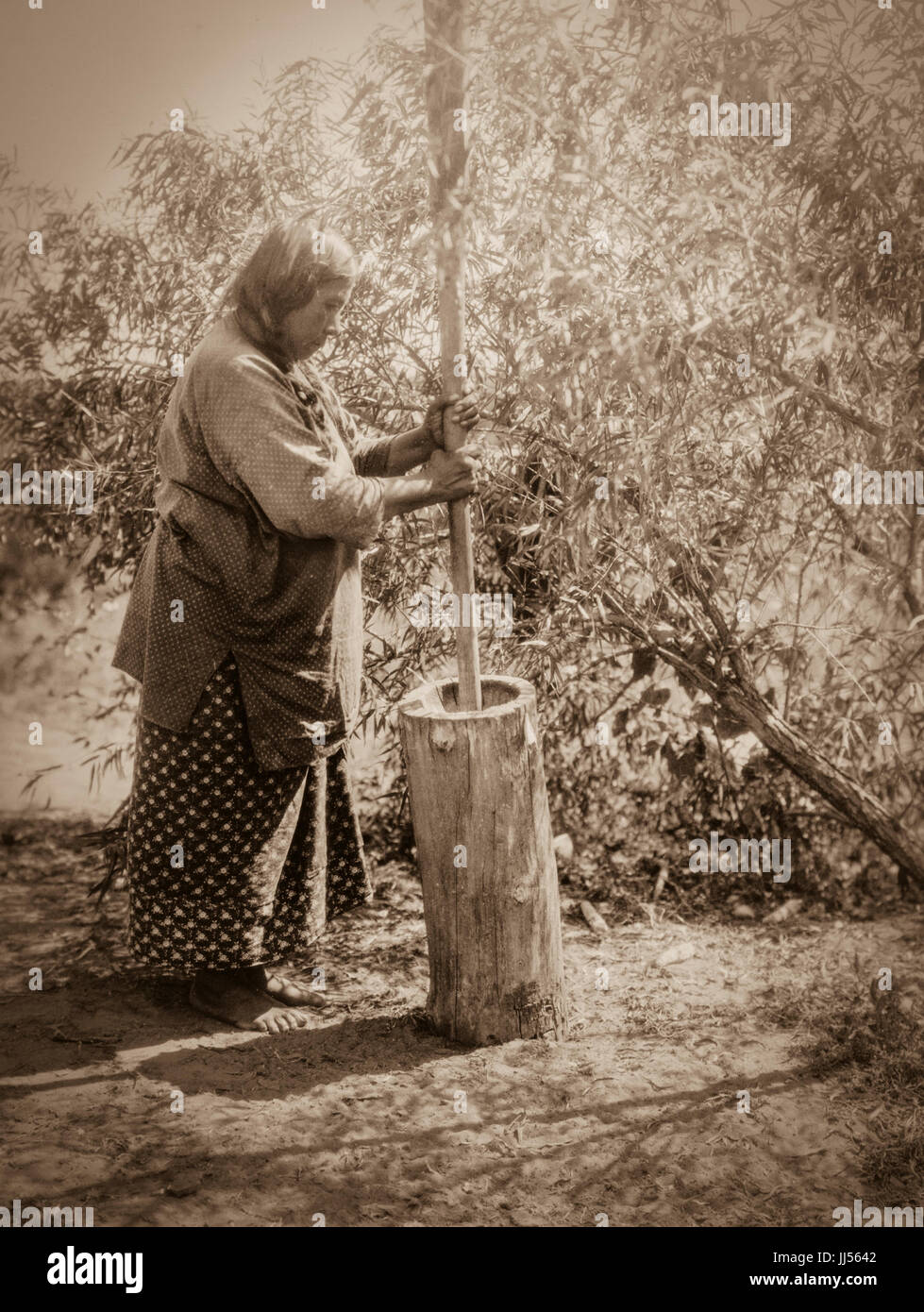 The portraits and landscapes of Edward S. Curtis 1868 - 1952 focus on ...