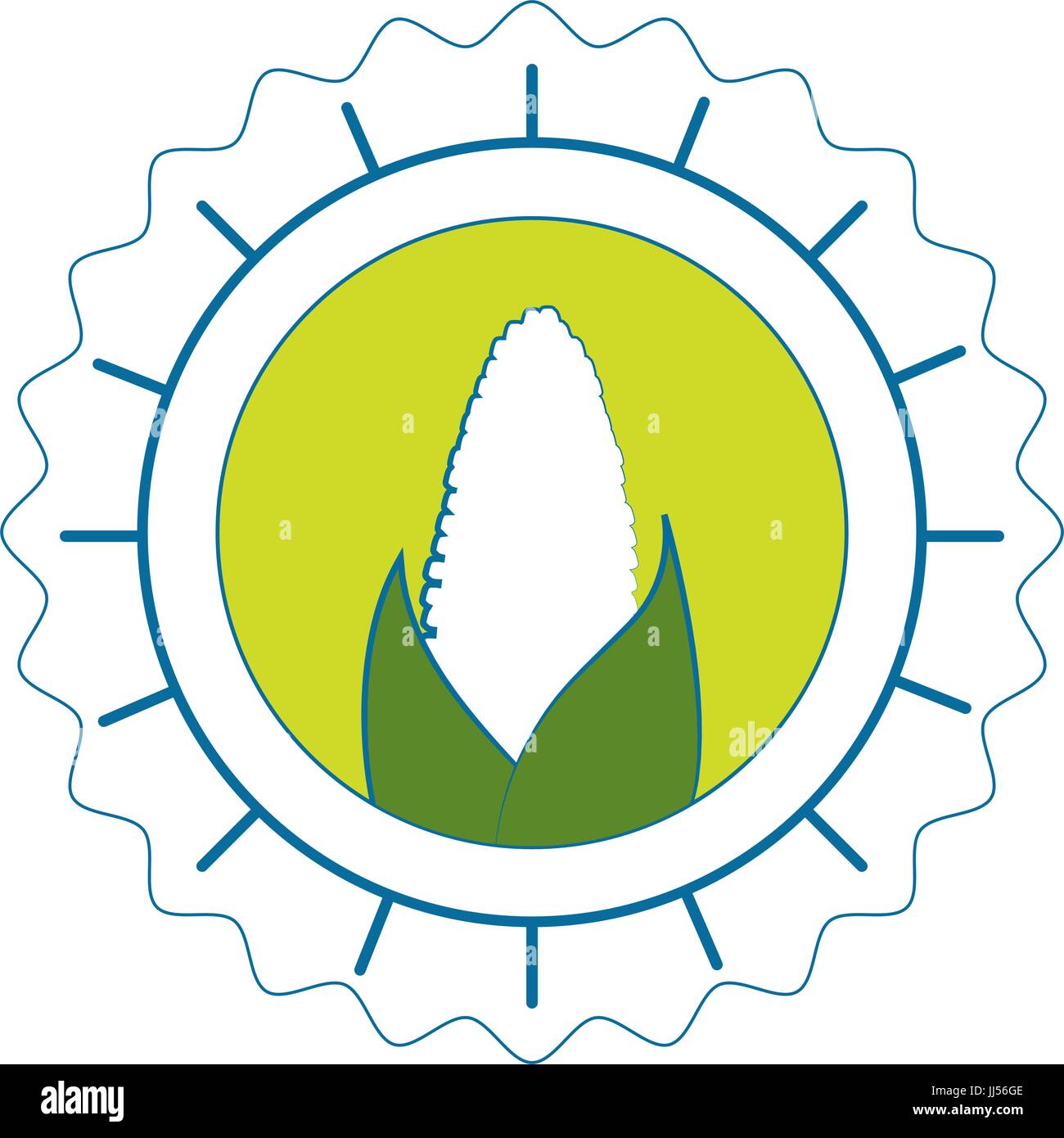 isolated corn round icon vector illustration graphic design Stock ...