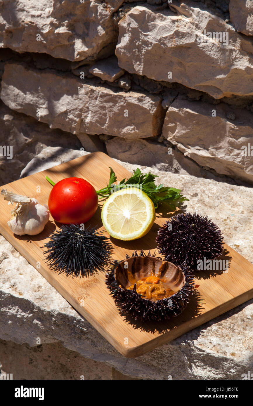 Sea urchin roe hi-res stock photography and images - Alamy