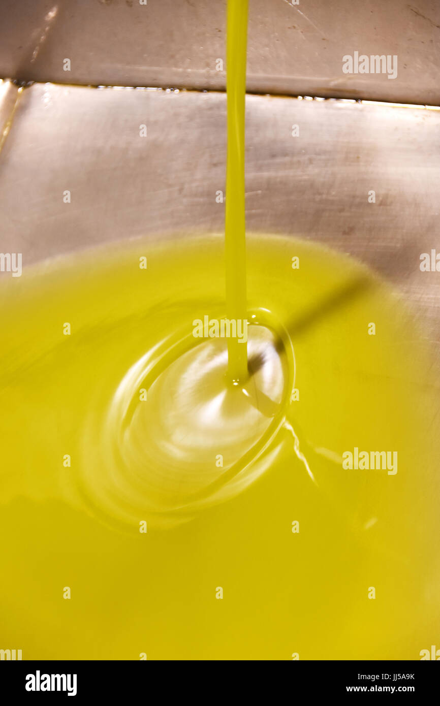 Fresh made olive oil, Israel Stock Photo - Alamy