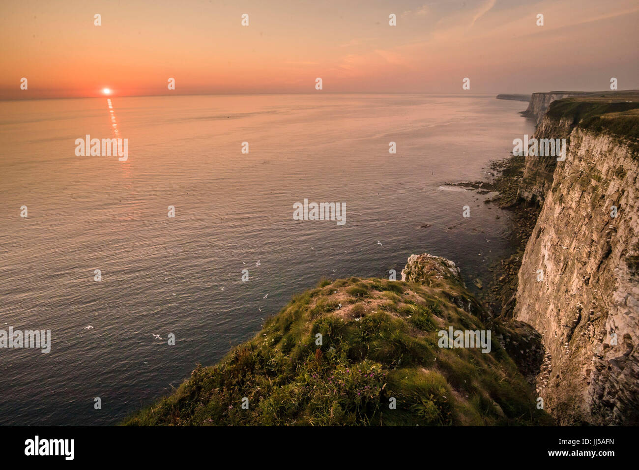 The sun rises at the RSPB nature reserve at Bempton Cliffs in Yorkshire ...