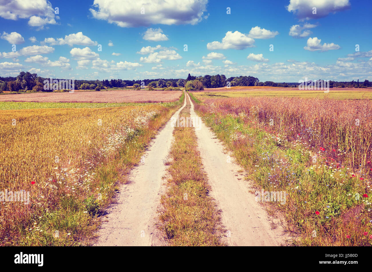 Vintage stylized picture of a countryside road Stock Photo - Alamy