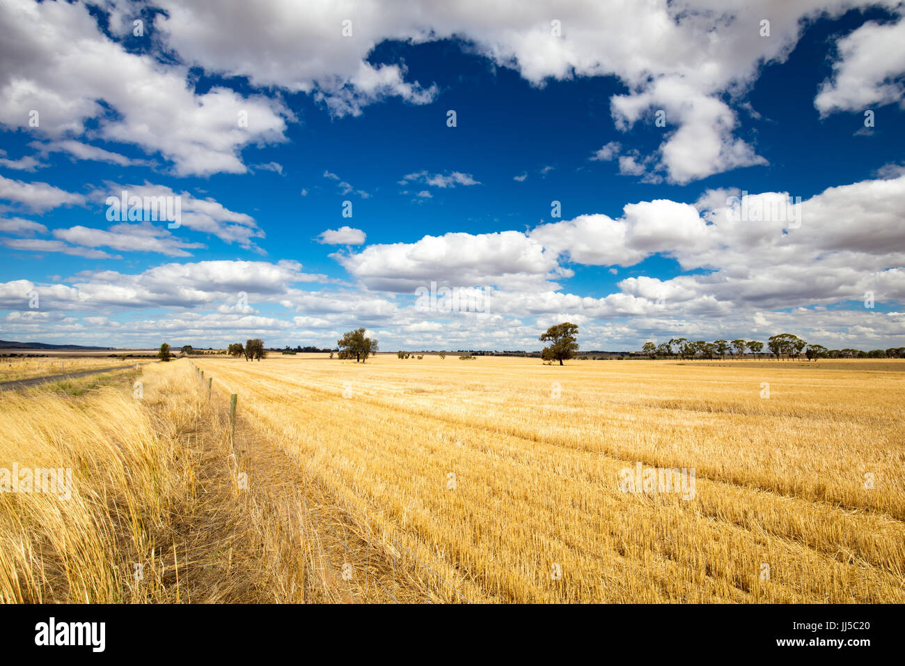 Hay plains australia hi-res stock photography and images - Alamy
