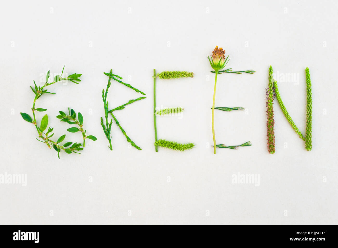 word green made of leaves and twigs on white hand-made paper background ...
