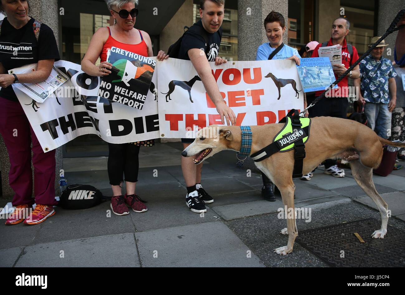 Legend, a greyhound rescued from China and rehomed in Ireland outside ...
