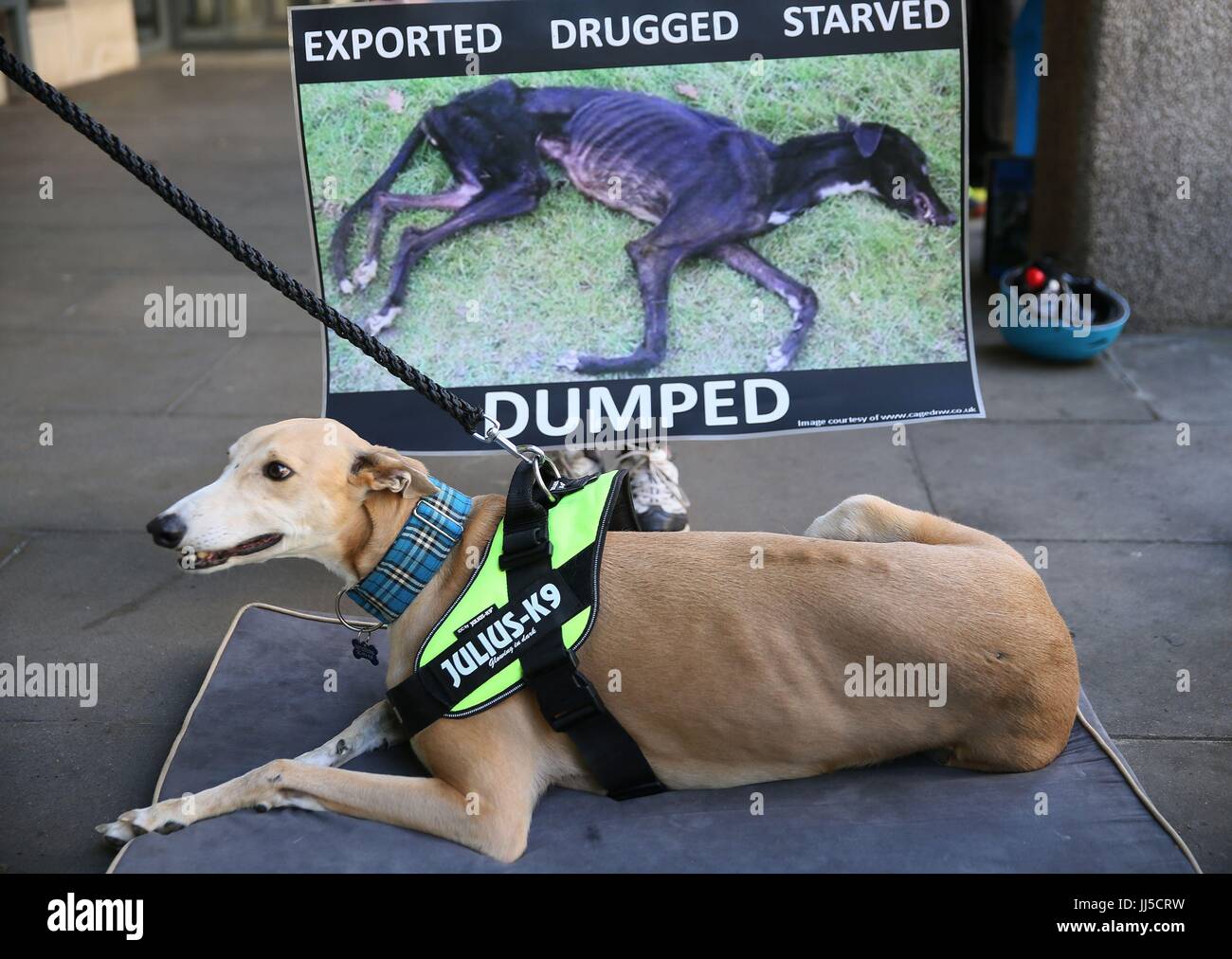 Legend of greyhound hi-res stock photography and images - Alamy