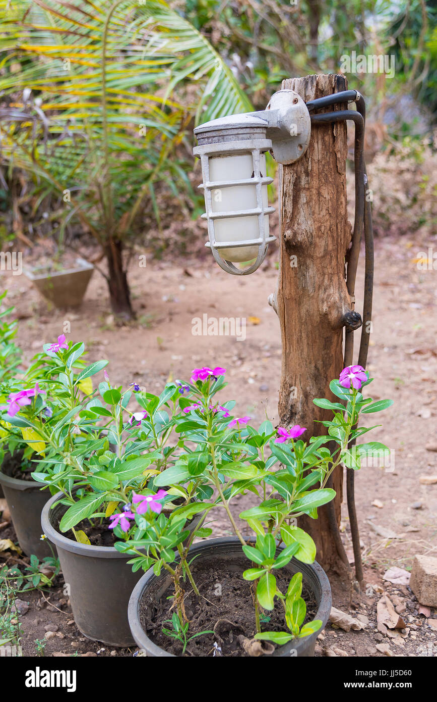 Old lamp on a short wooden pole with grass and tree in tropical garden ...