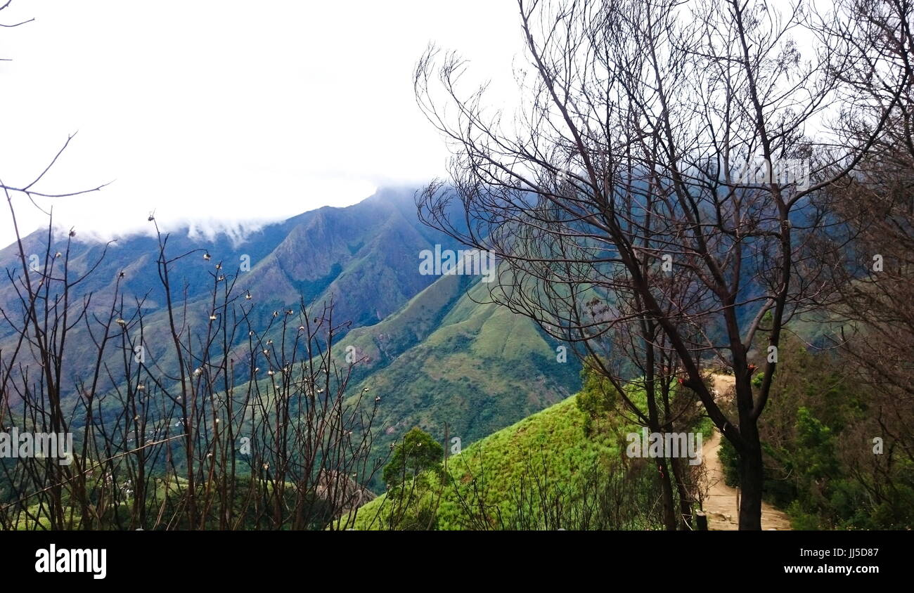 View of munnar High Resolution Stock Photography and Images - Alamy