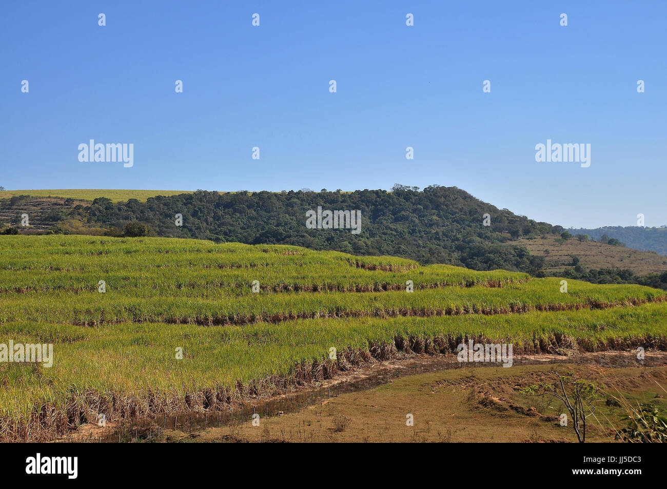 Landscape, nature, Brazil Stock Photo - Alamy