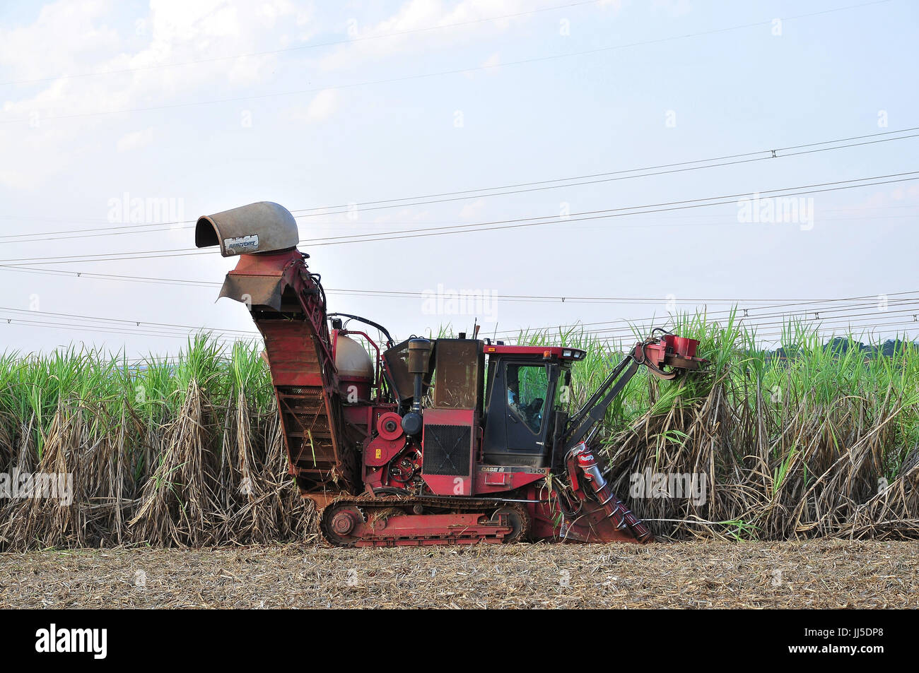 Tractor, plantation, agricultural workers, Brazil Stock Photo - Alamy