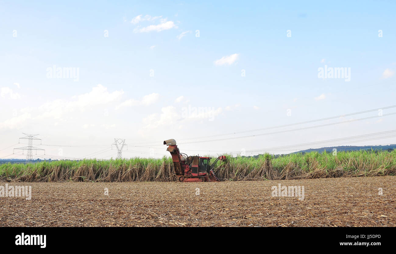 Tractor, plantation, agricultural workers, Brazil Stock Photo - Alamy