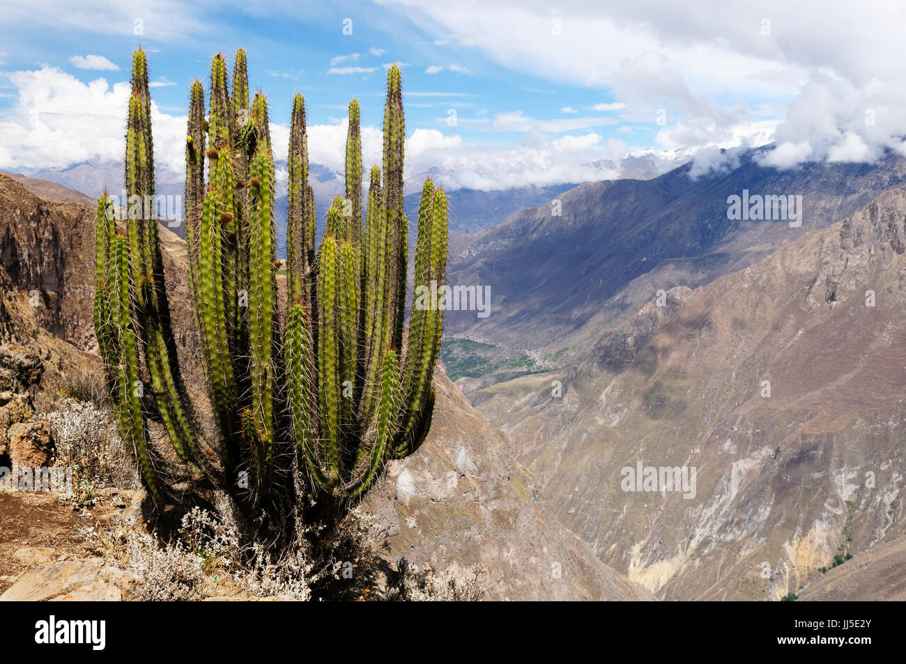 South America, Peru, Colca canyon. the secend wolds deepest canyon at ...