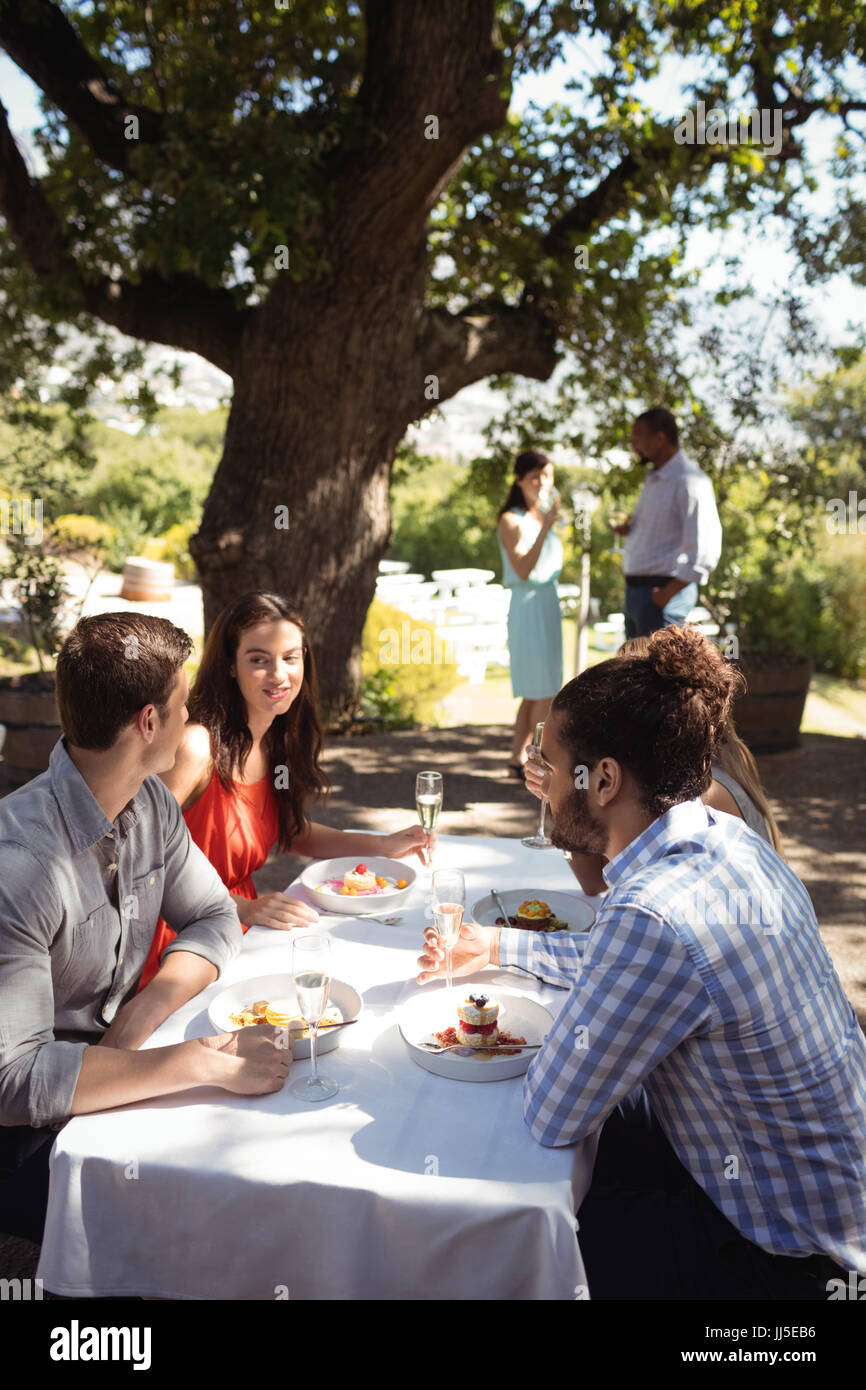 Group of friends having lunch in a restaurant Stock Photo - Alamy