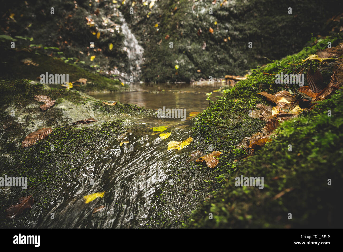 Creek puddle hi-res stock photography and images - Alamy