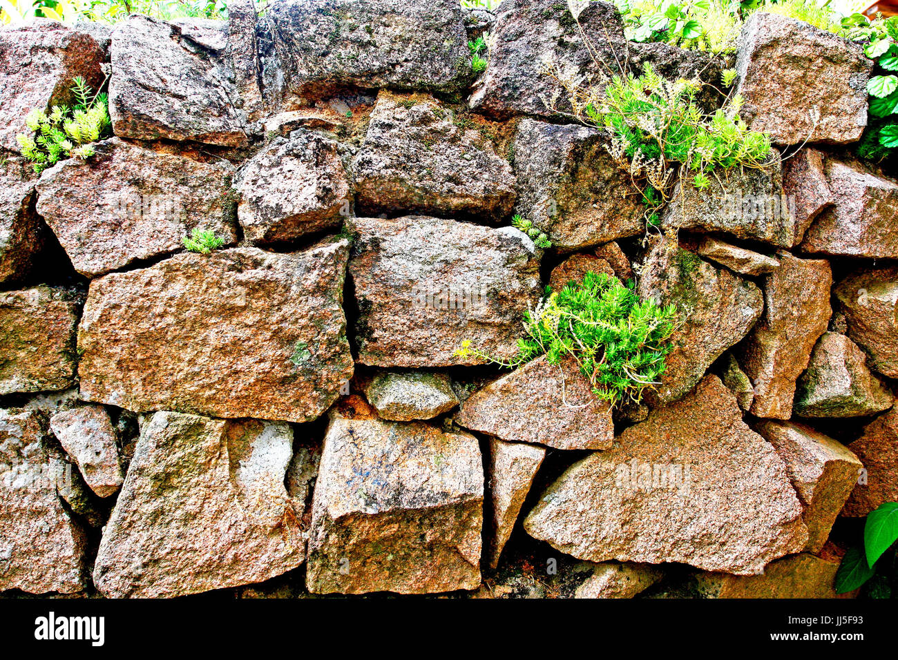 Rock, stone, Brazil Stock Photo - Alamy