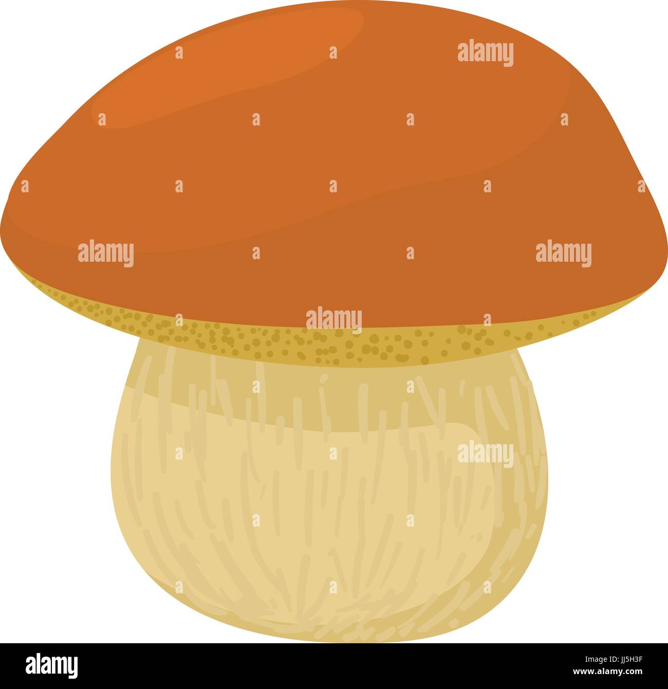 Boletus edulis icon, cartoon style Stock Vector Image & Art - Alamy