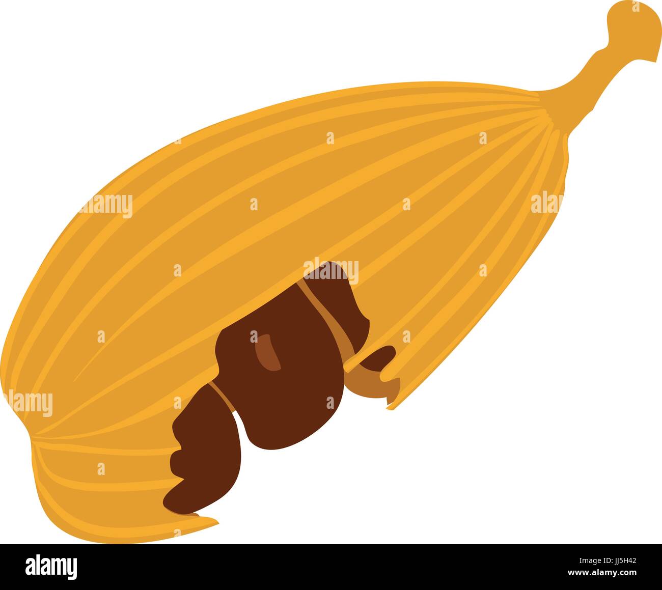 Cardamom icon, cartoon style Stock Vector Image & Art - Alamy