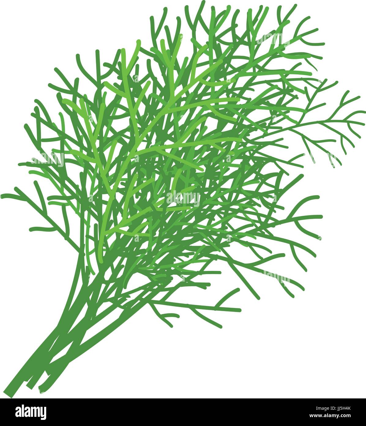 Dill icon, cartoon style Stock Vector Image & Art - Alamy