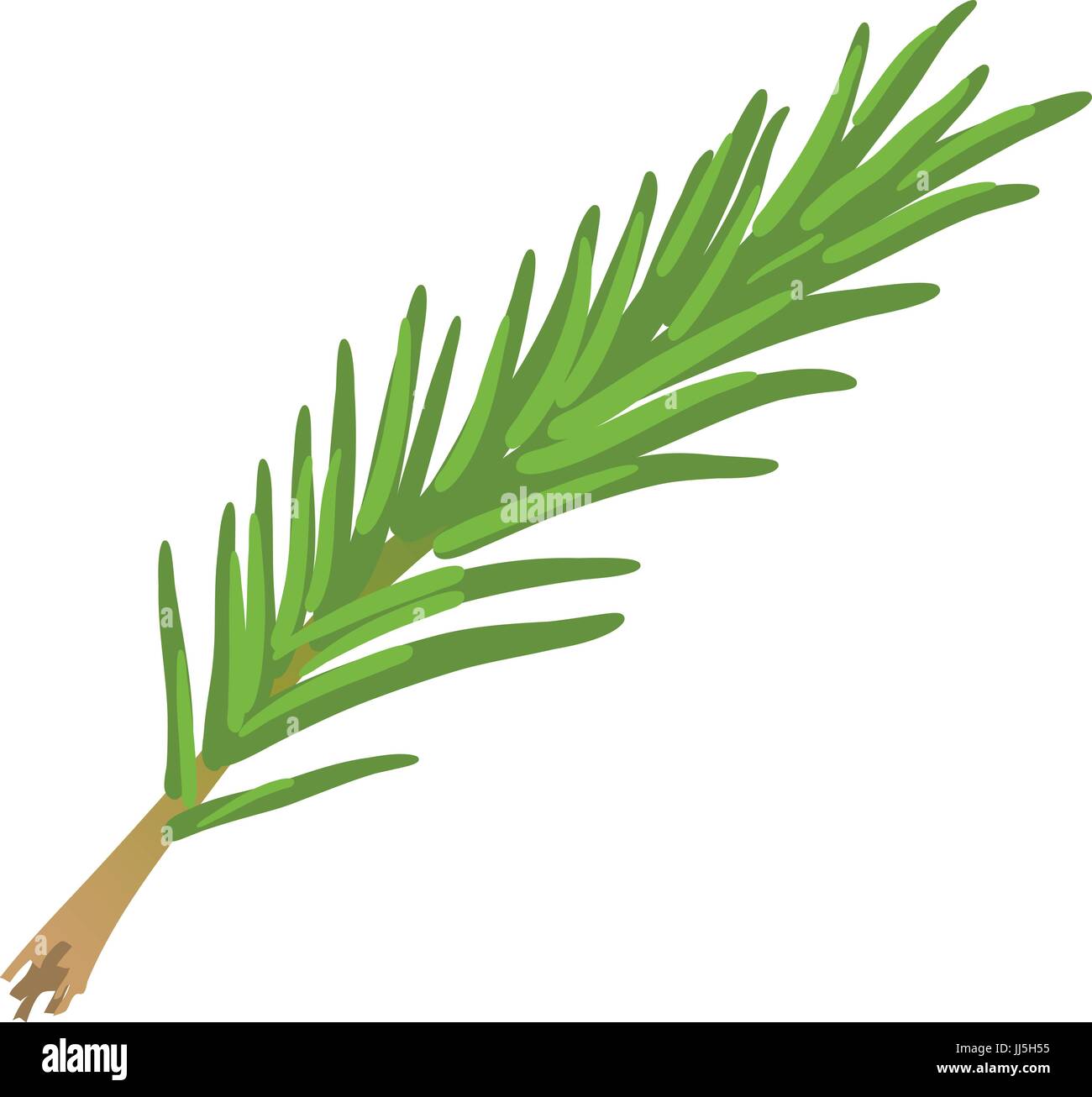 Rosemary fresh icon cartoon Stock Vector Images - Alamy