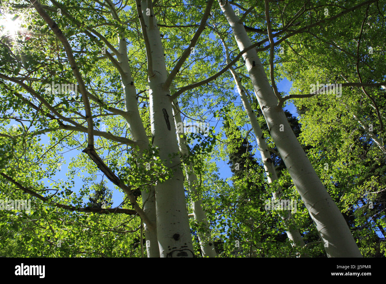 Natural State of Mind Stock Photo - Alamy