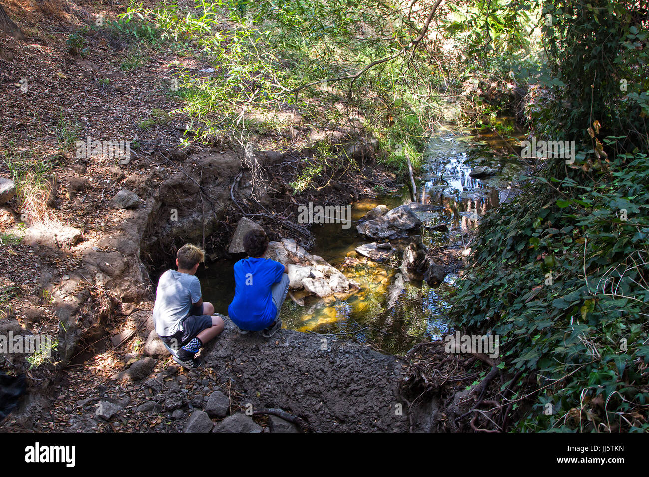 Boy exploring on nature walk Stock Photo - Alamy