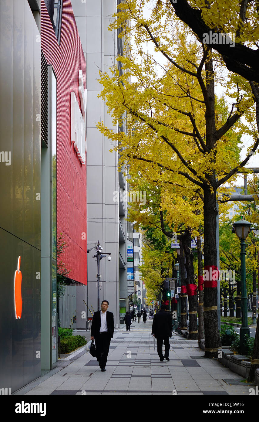 Sendai, Japan - Dec 1, 2016. People walking on street at business ...