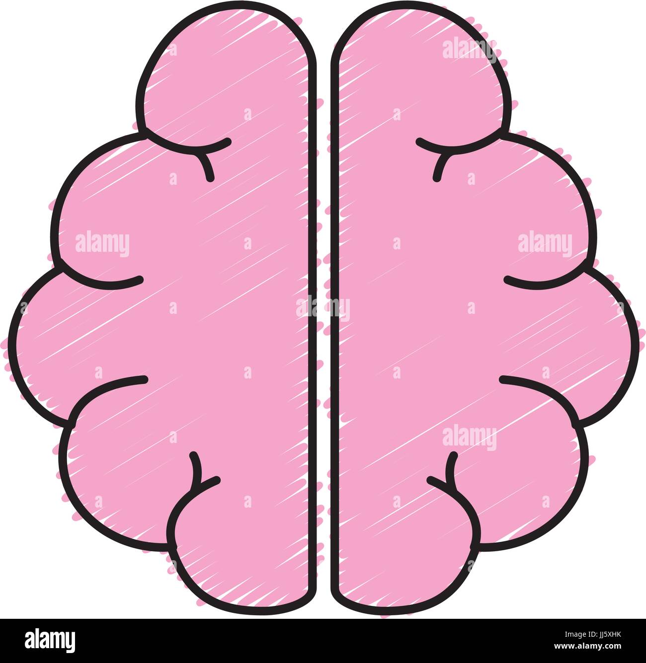anatomy brain to imagination and memory inspiration Stock Vector Image ...