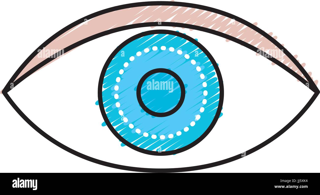 eye human anaomy to optical graphic Stock Vector Image & Art - Alamy