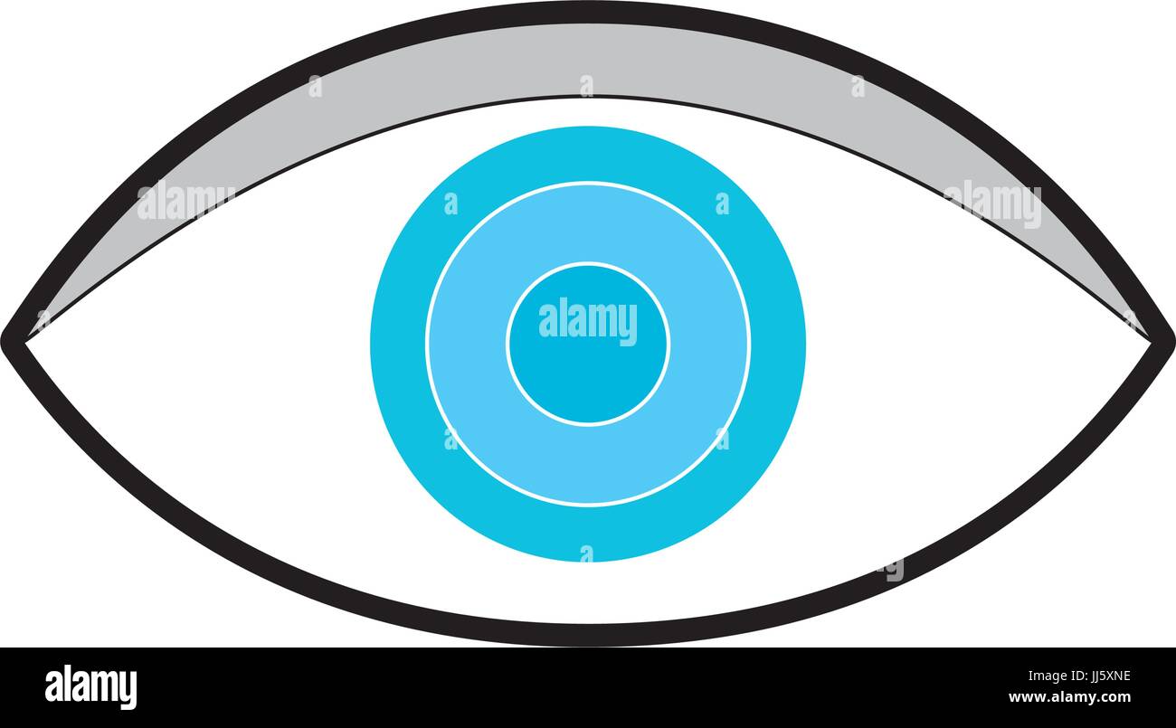 eye human anaomy to optical graphic Stock Vector Image & Art - Alamy