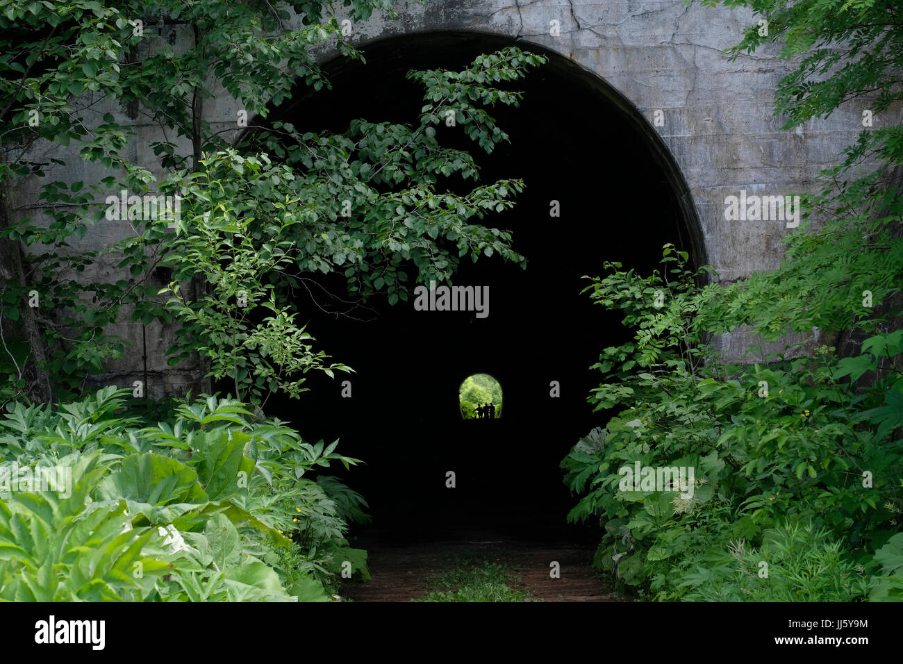An old railroad tunnel of the Kholmsk-Yuzhno-Sakhalinsk railway line ...