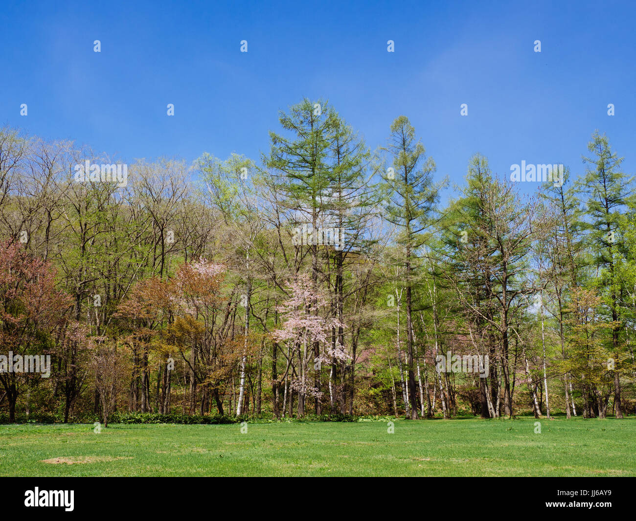 Hokkaido in Spring Stock Photo - Alamy