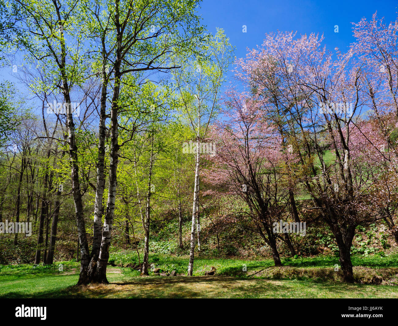 Hokkaido in Spring Stock Photo - Alamy