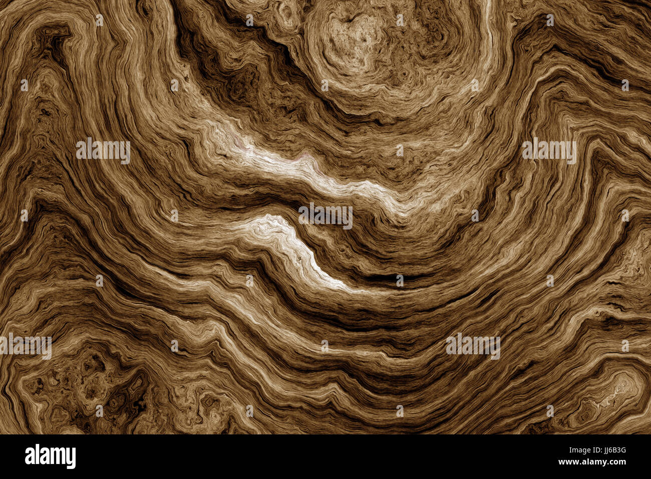 Texture of roots of tree with wavy lines and age rings. Abstract ...