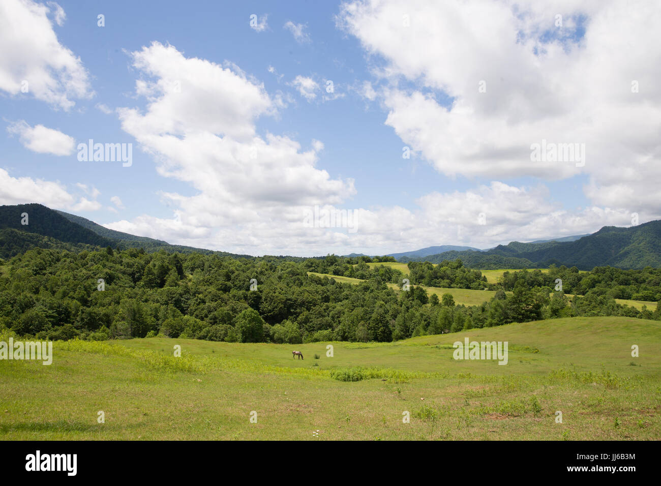 Ranch in Hokkaido Stock Photo - Alamy