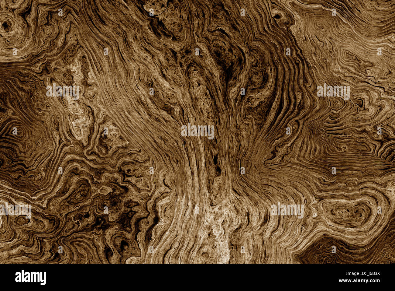 Texture of roots of tree with wavy lines and age rings. Abstract ...