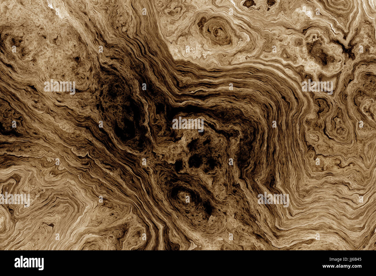 Texture of roots of tree with wavy lines and age rings. Abstract ...