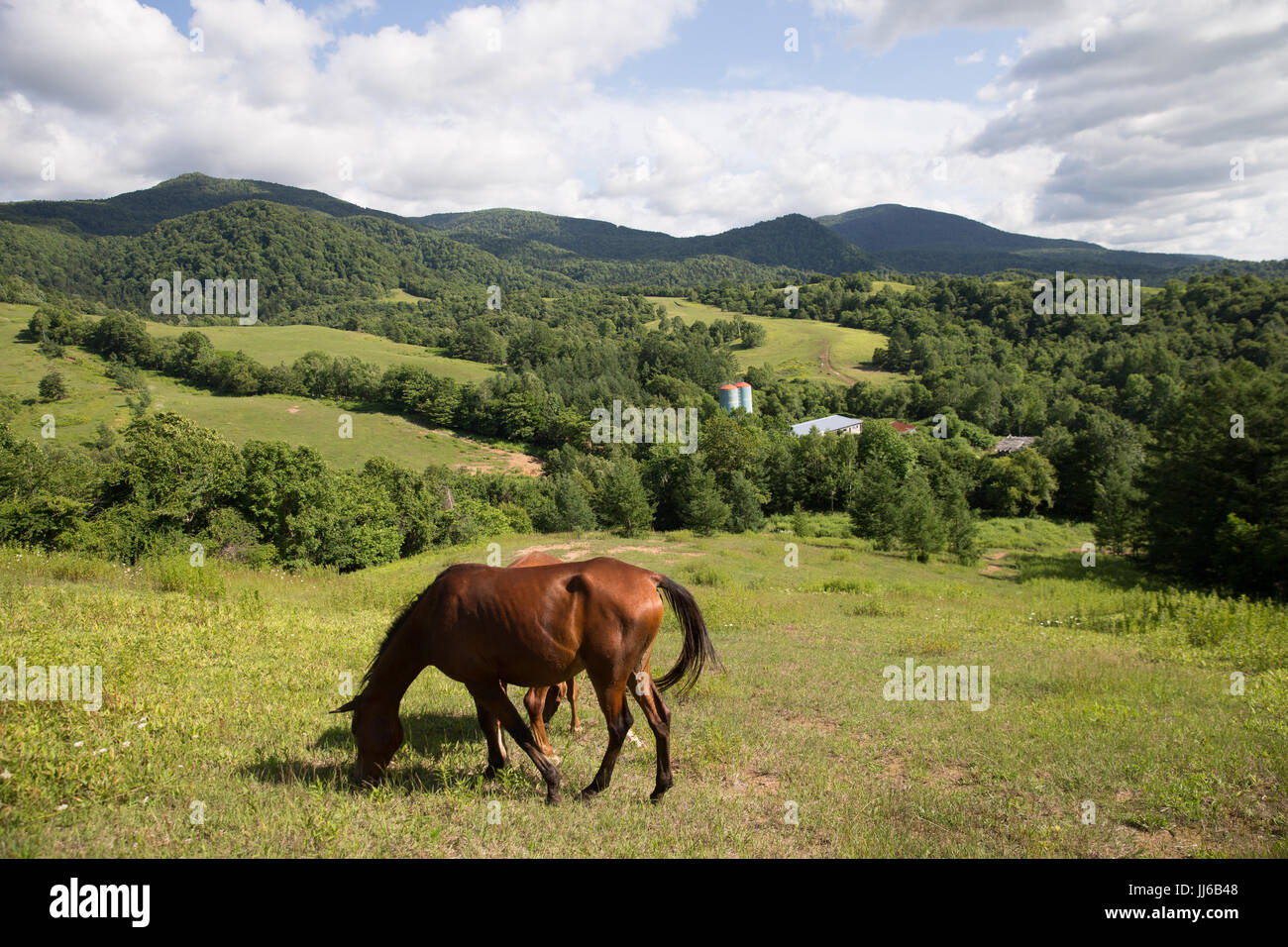 Ranch in Hokkaido Stock Photo - Alamy