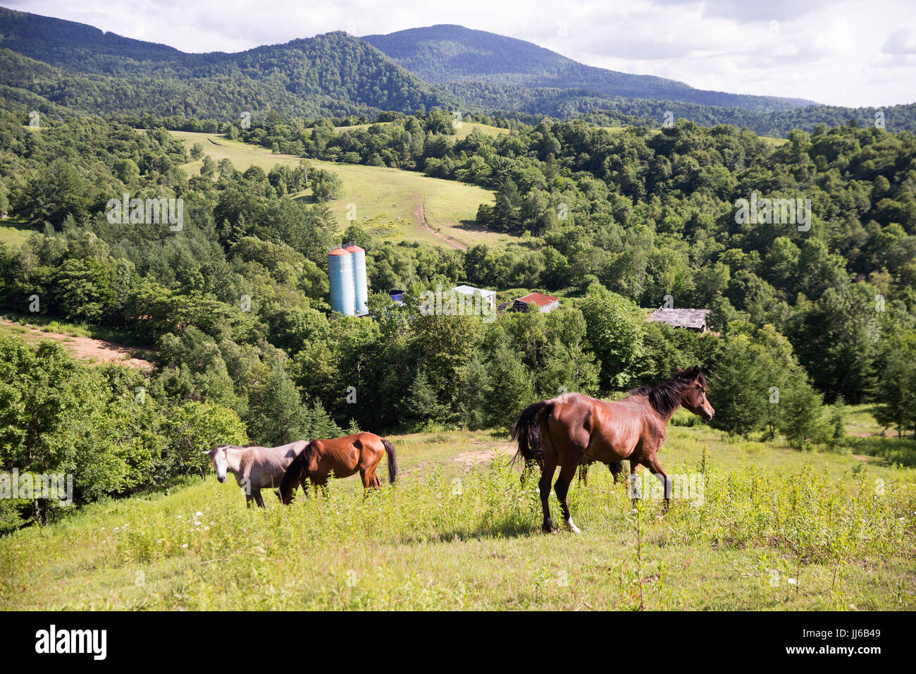 Ranch in Hokkaido Stock Photo - Alamy