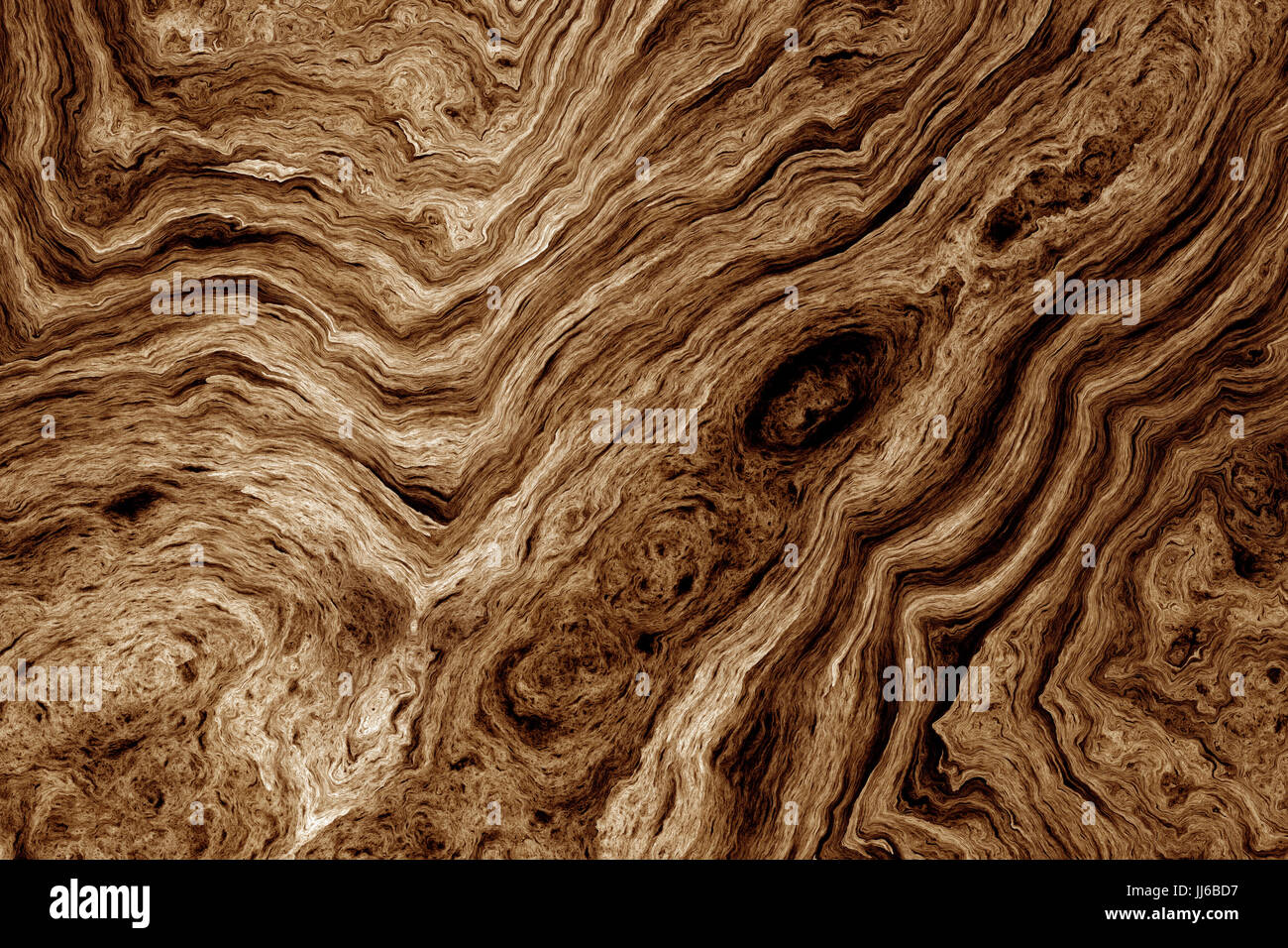 Texture of roots of tree with wavy lines and age rings. Abstract ...