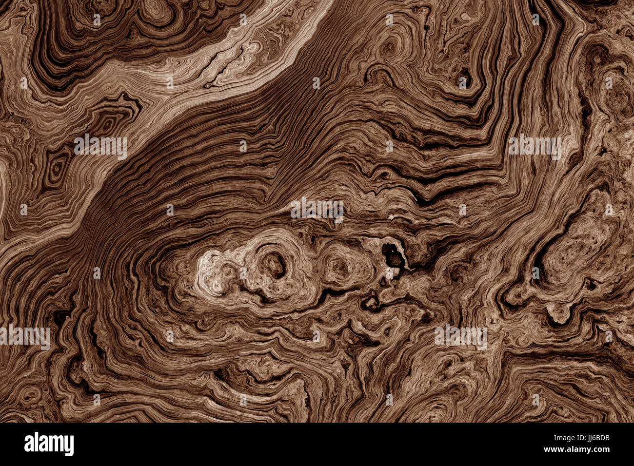 Texture of roots of tree with wavy lines and age rings. Abstract ...