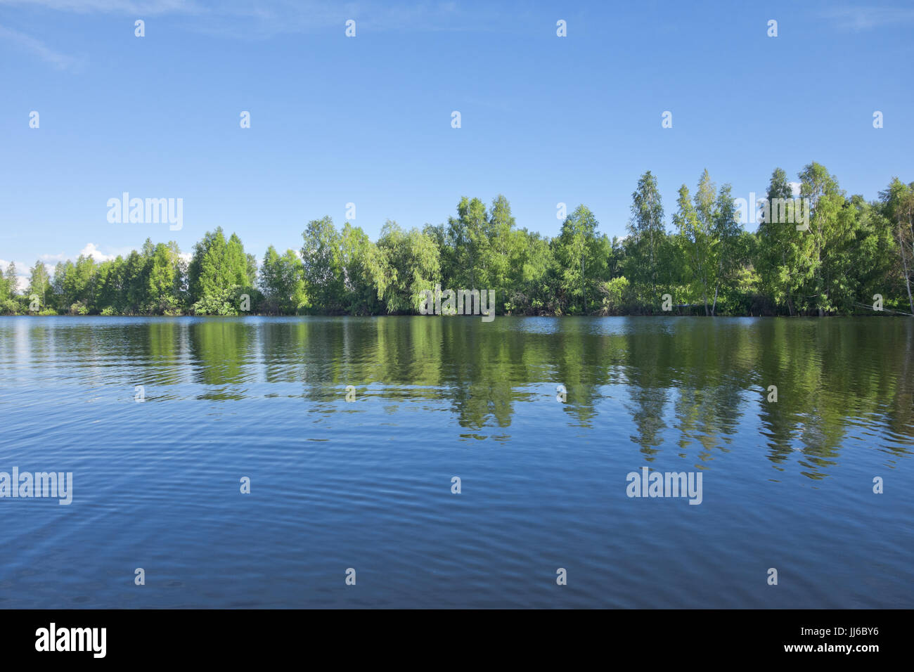 beautiful summer lake Stock Photo - Alamy